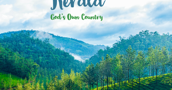 Budget-friendly trip to Kerela - TravelBaits