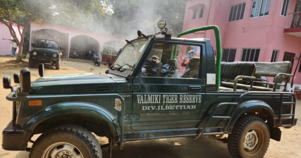 Things to do in Valmikinagar Tiger Reserve - TravelBaits